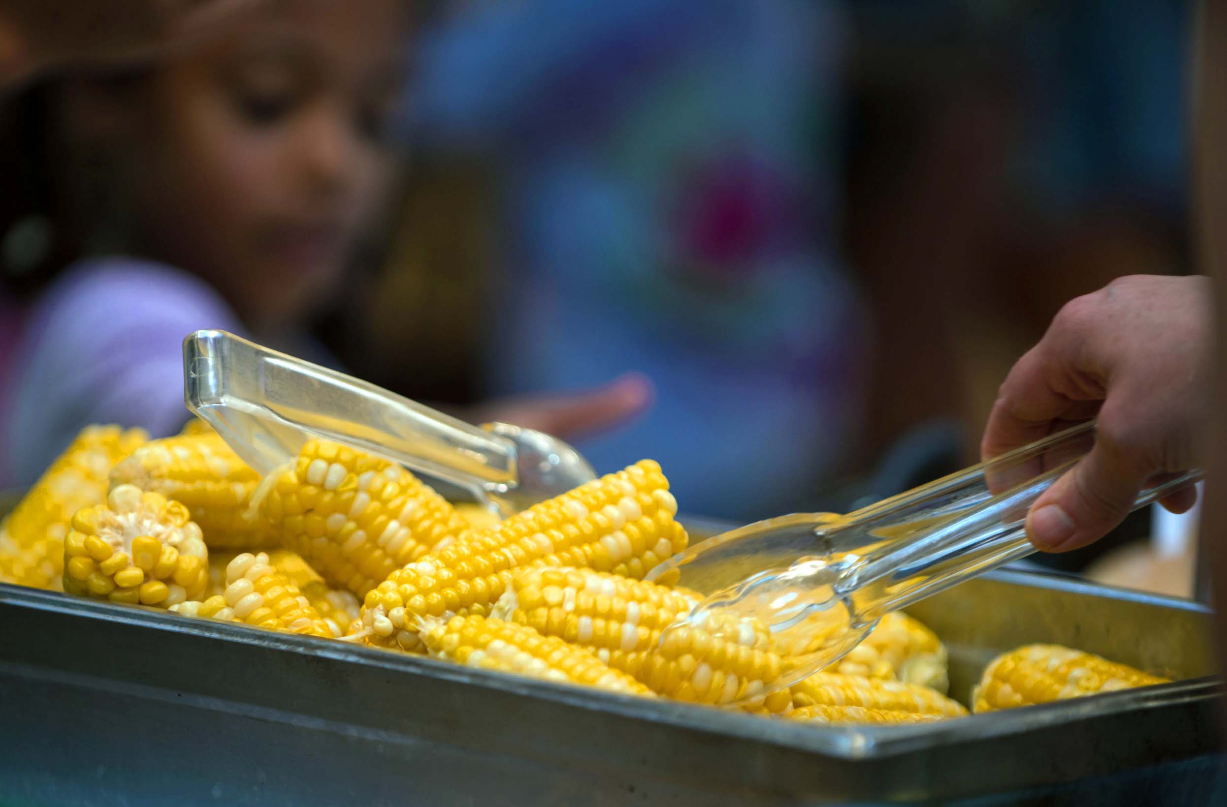 Food - Common Ground Center